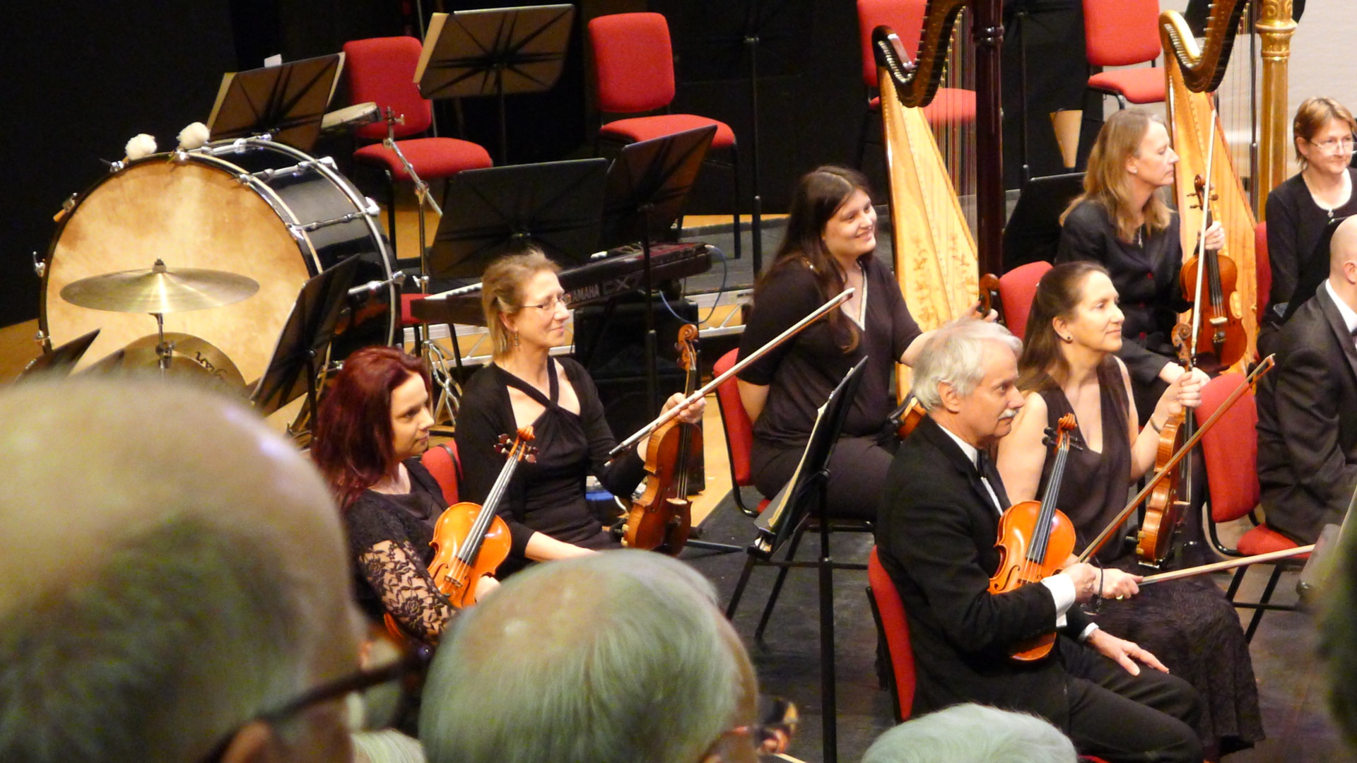 Gallery – Bromley Symphony Orchestra